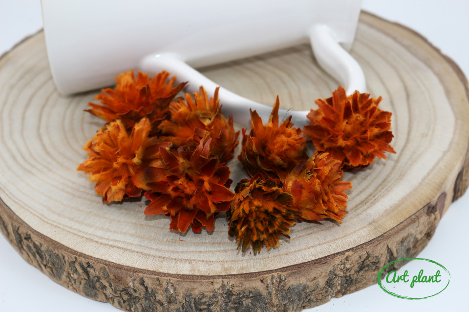 Cap plumosum portocaliu