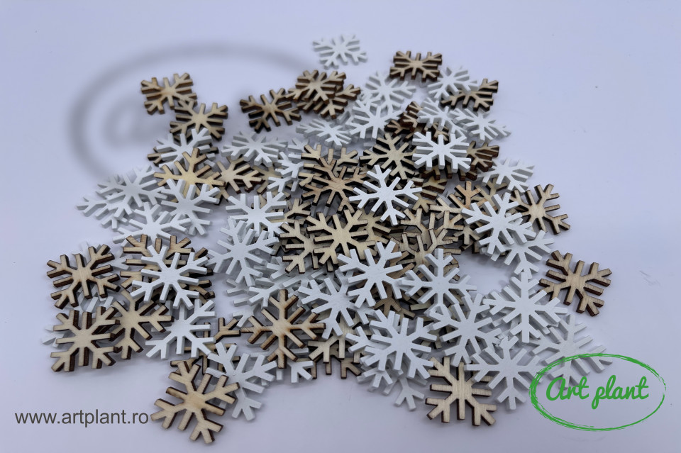 Fulgi de lemn albi / natur 2,5cm