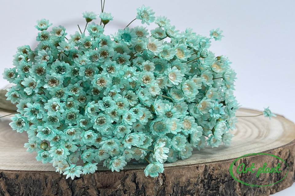 Glixia Verde Menta