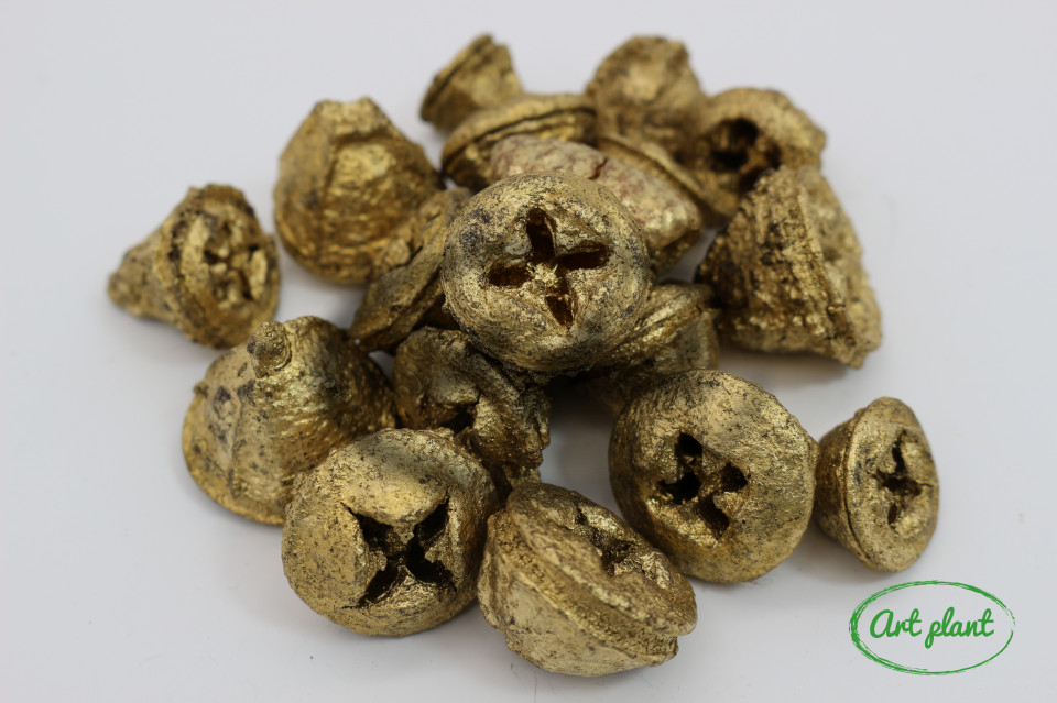 Nasturi eucalipt auriu