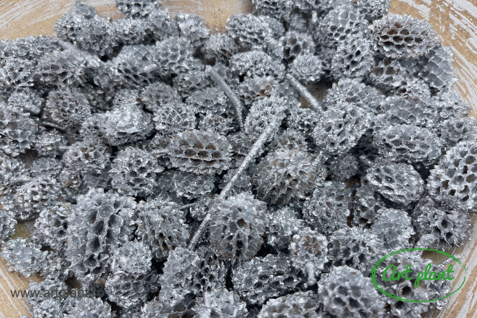 Casuarina Glitter Argintiu