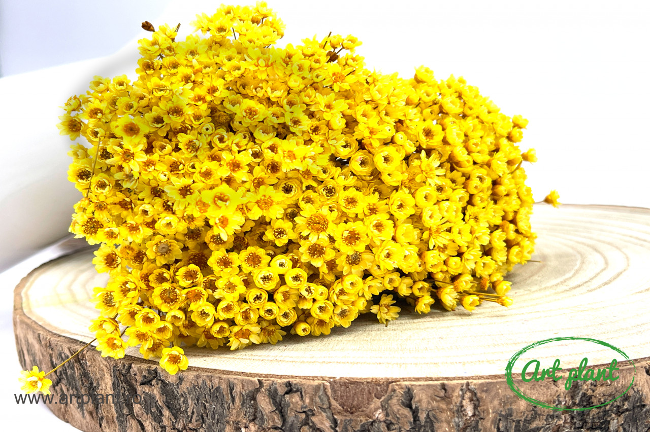 Glixia Galben Intens