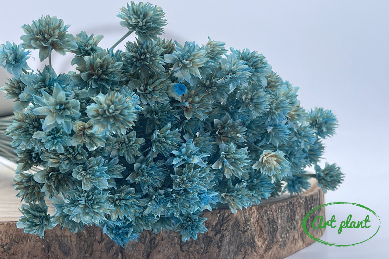 Hill Albastru Deschis