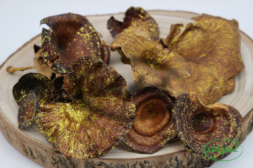 Ciuperci uscate glitter auriu