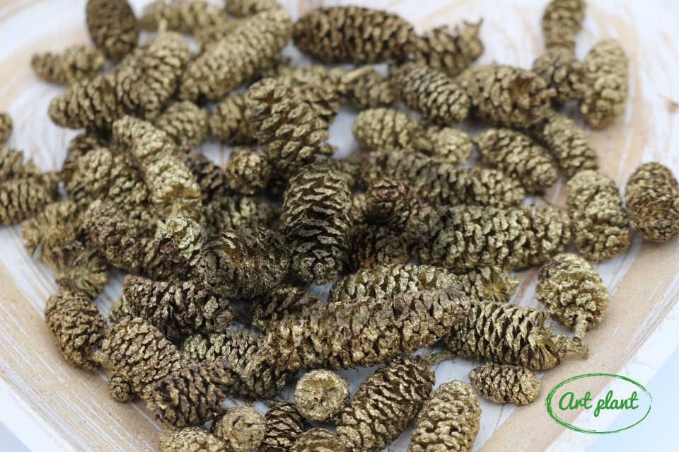 Conuri de mesteacan mici auriu