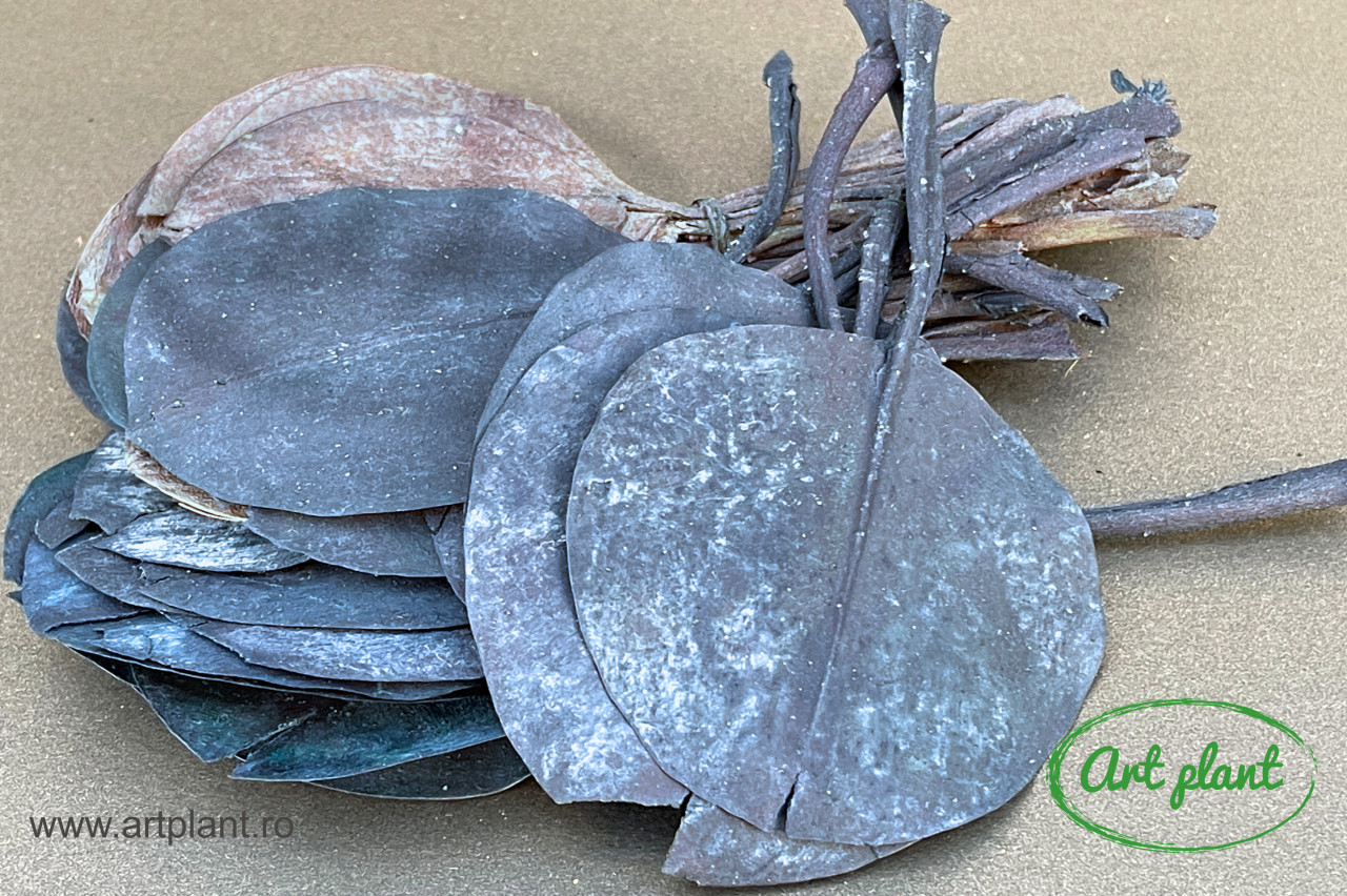 Frunze albastru inchis