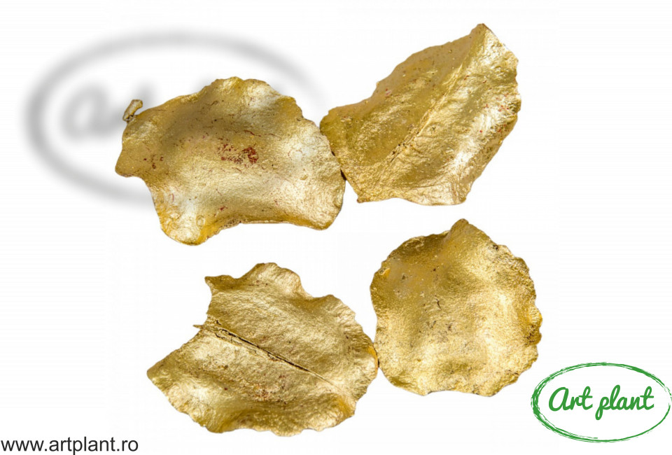 Frunze uscate pentru decorare aurii