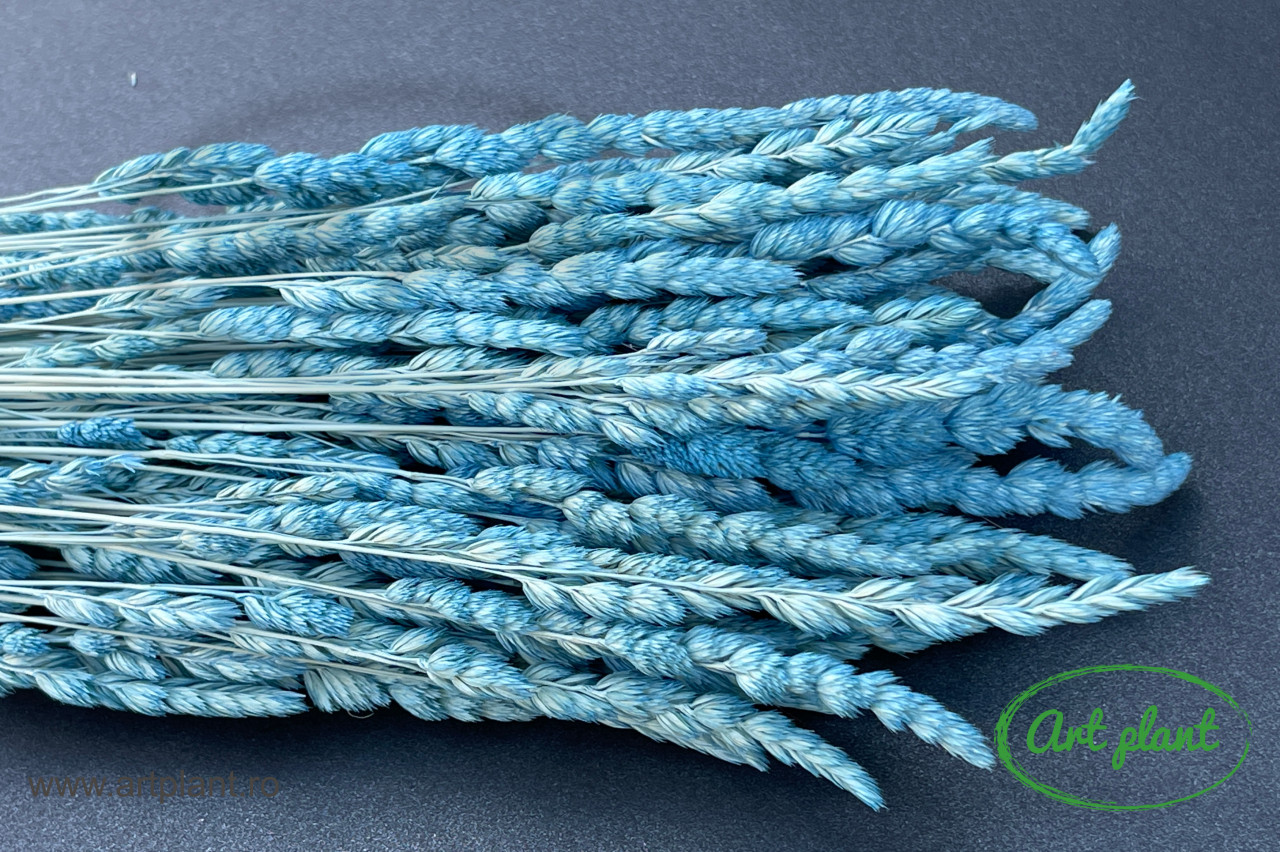 Iarba lupului celeste