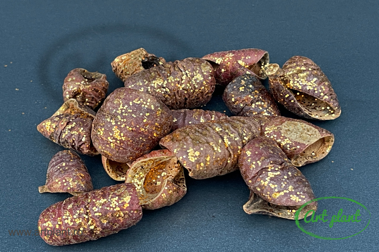 Lali Natur & Glitter Auriu