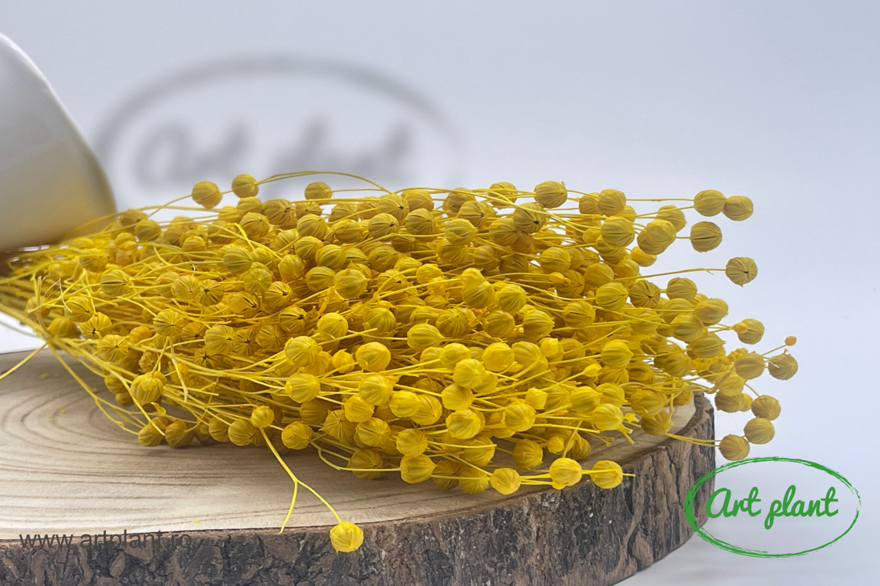 Lino (In) Galben Intens