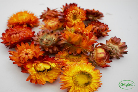 Capete flori de paie portocalii , 20 gr