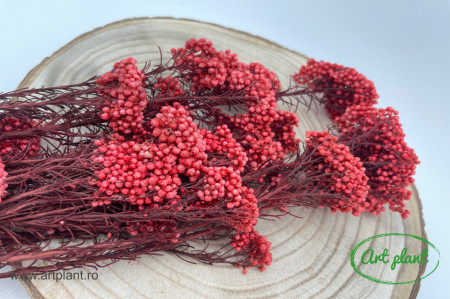 Floare de Orez Criogenata Rosu Corai