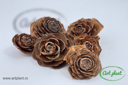 Conuri trandafir natur