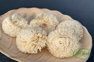 Ming garoafe natur 6 cm , 5 buc