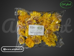 Capete flori de paie galbene