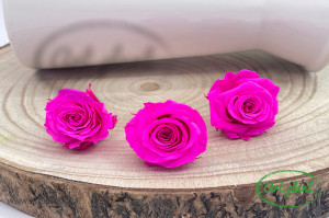 Mini Roze Roz Fuchsia Pin07