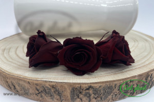 Mini Roze Warmi Bordo Cho01