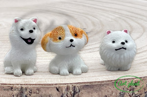 Miniatura catel alb cu urechi portocalii