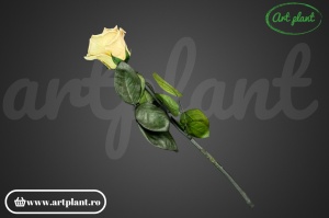 Trandafir criogenat Champagne CHA01 cu tijă, 30 cm