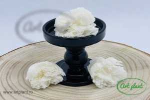 Garoafa criogenata white