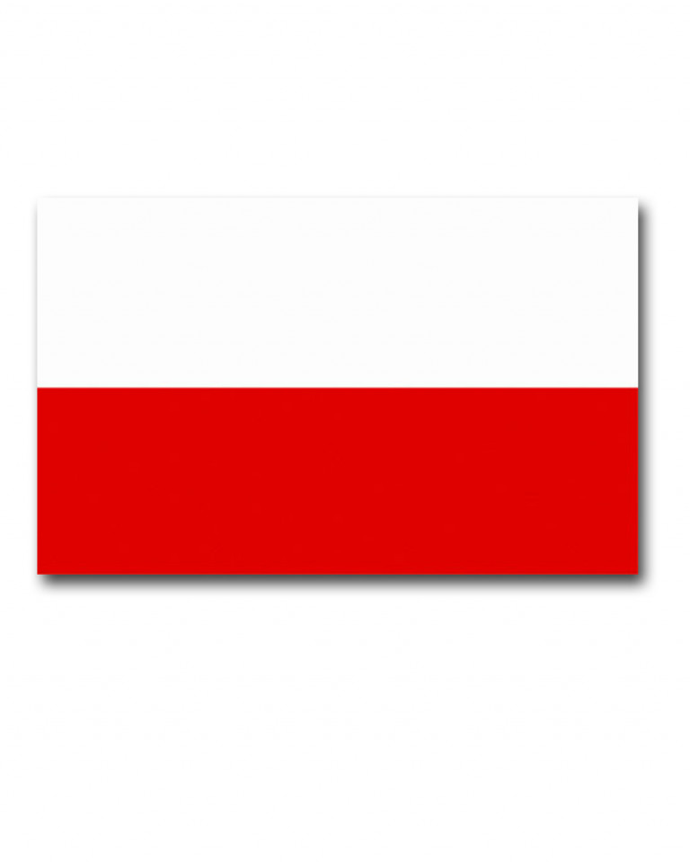 Steag Polonia