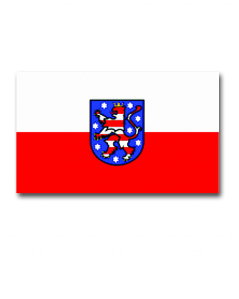 Steag Thuringen