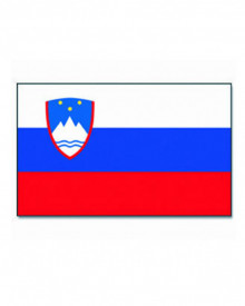 Steag Slovenia