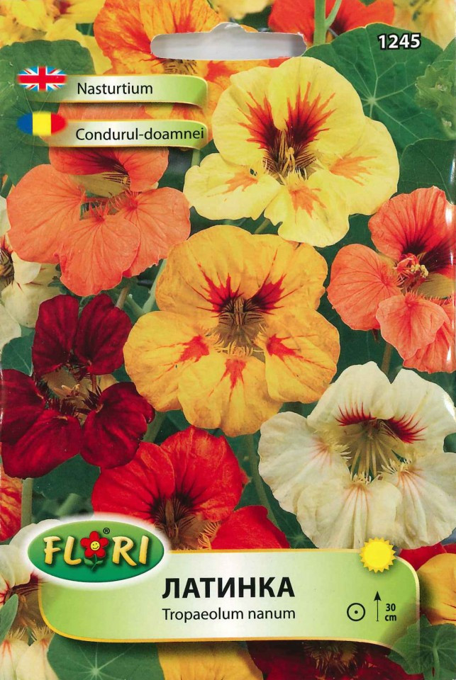 Seminte de condurul doamnei pitic mix, 20 seminte