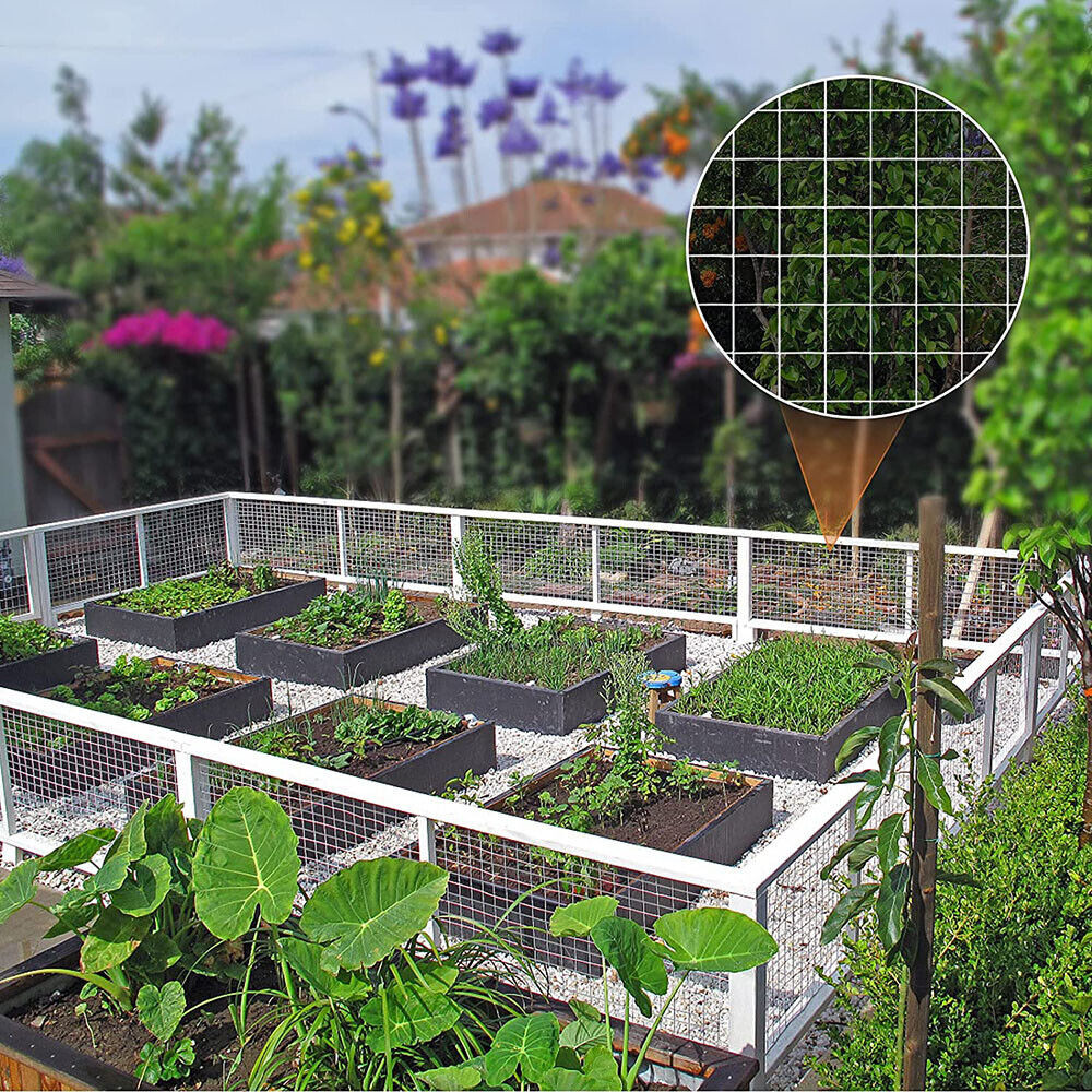 Plasa de sarma zincata sudata 1.5x10 m, ochiuri 13x13x0.9 mm, Plant Master