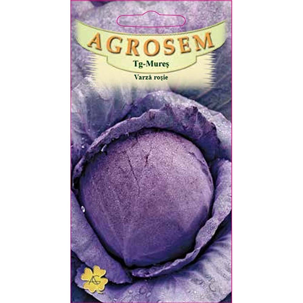 Seminte de Varza rosie Tete Noire, soi semitardiv, Agrosem, 1.5g