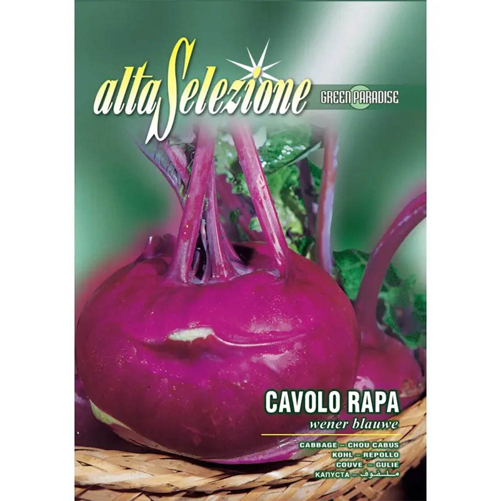 Seminte de gulii Wener Blauwe, 6g, Franchi