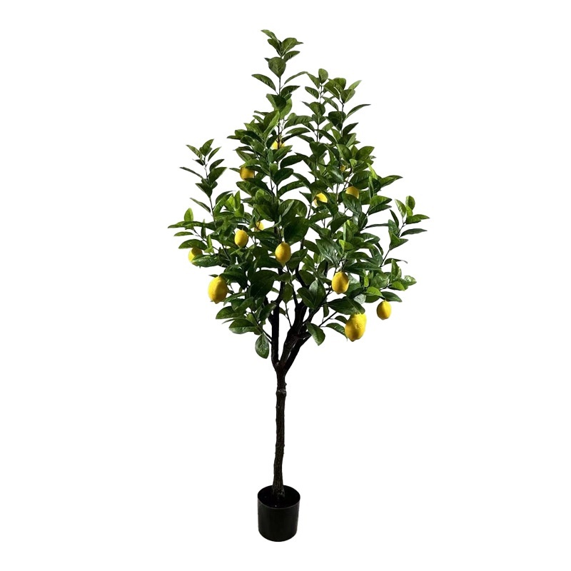 Planta decorativa Lemon tree Verde 180x180x180 cm