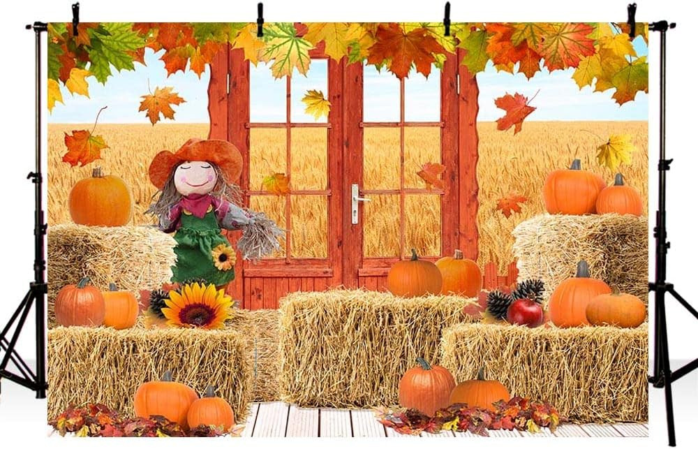 Fundal foto de toamna MEHOFOND, vinil, multicolor, 2,4 x 1,8 cm ...