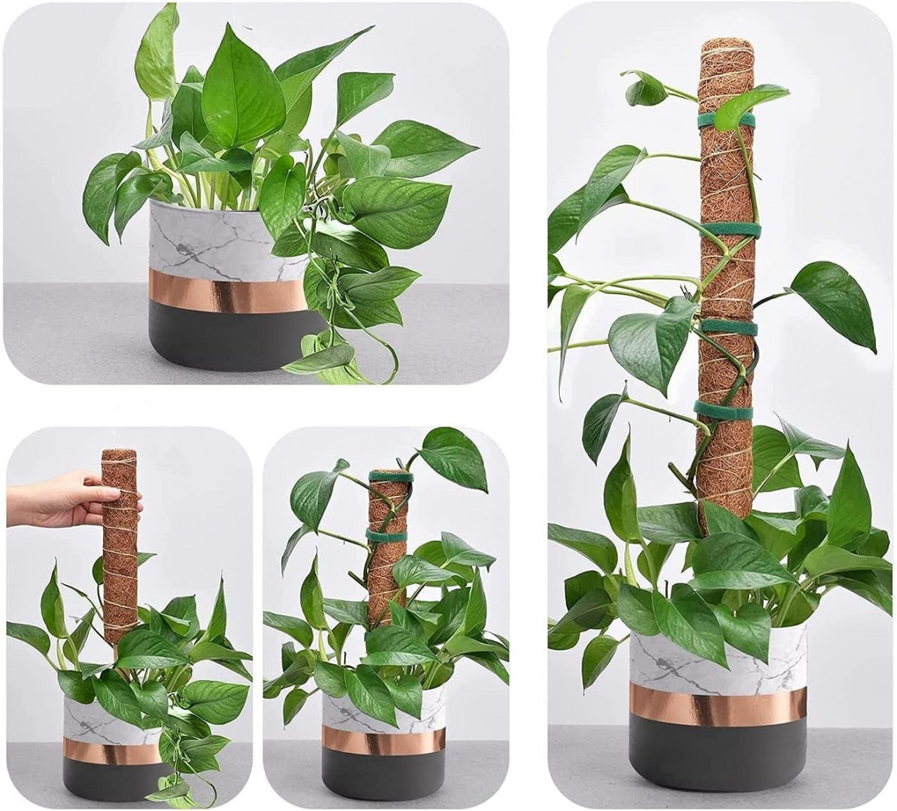 Set de 2 suporturi pentru plante cataratoare Mododo, fibre naturale de cocos, maro, 40 cm ...