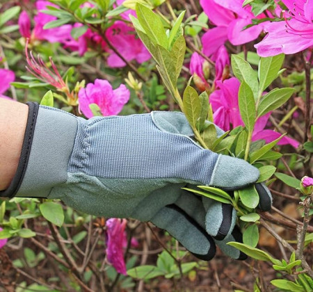 Manusi de lucru Ozero, piele, gri, marimea L - Chilipirul Zilei