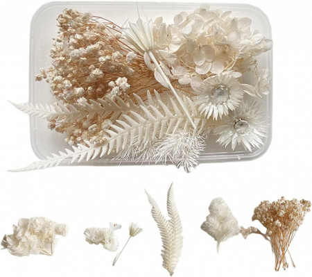 Flori presate uscate naturale pentru proiecte DIY, HBYMYDA, alb, 17 x ...