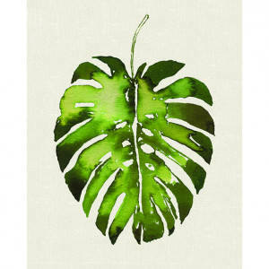 Tablou Pergo Classics, model frunza tropicala, panza, bej/verde, 40 x ...