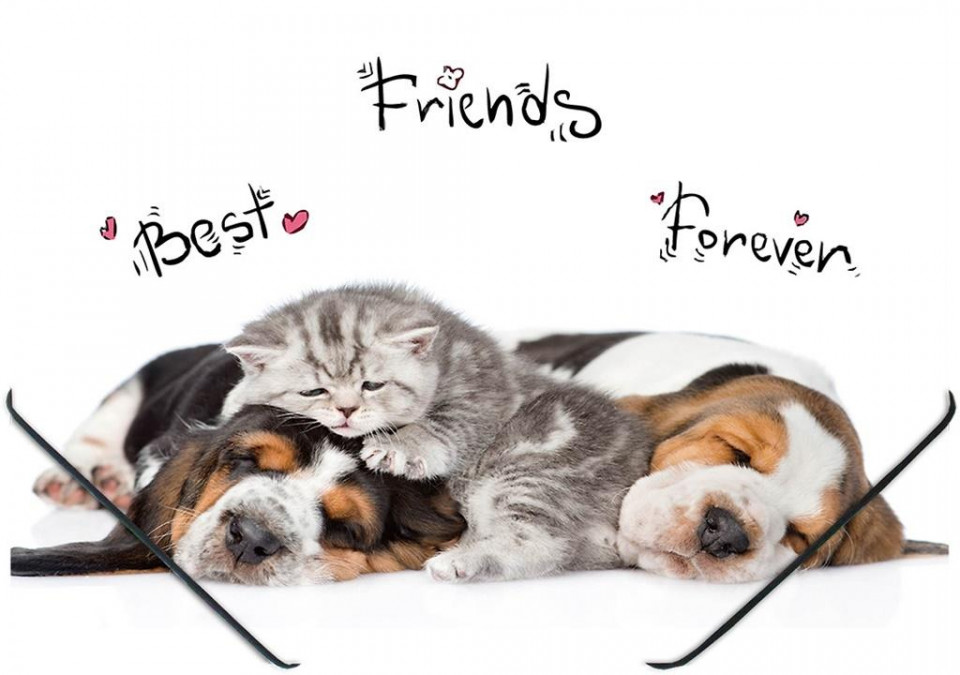 MAPA CU BURDUF A4 PANTA PLAST