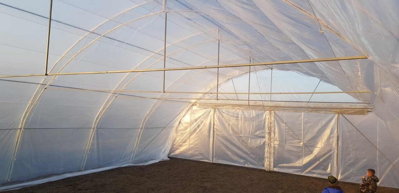 Solar Legume Profesional Regal Fermierul 8X20 metri la pretul corect ...