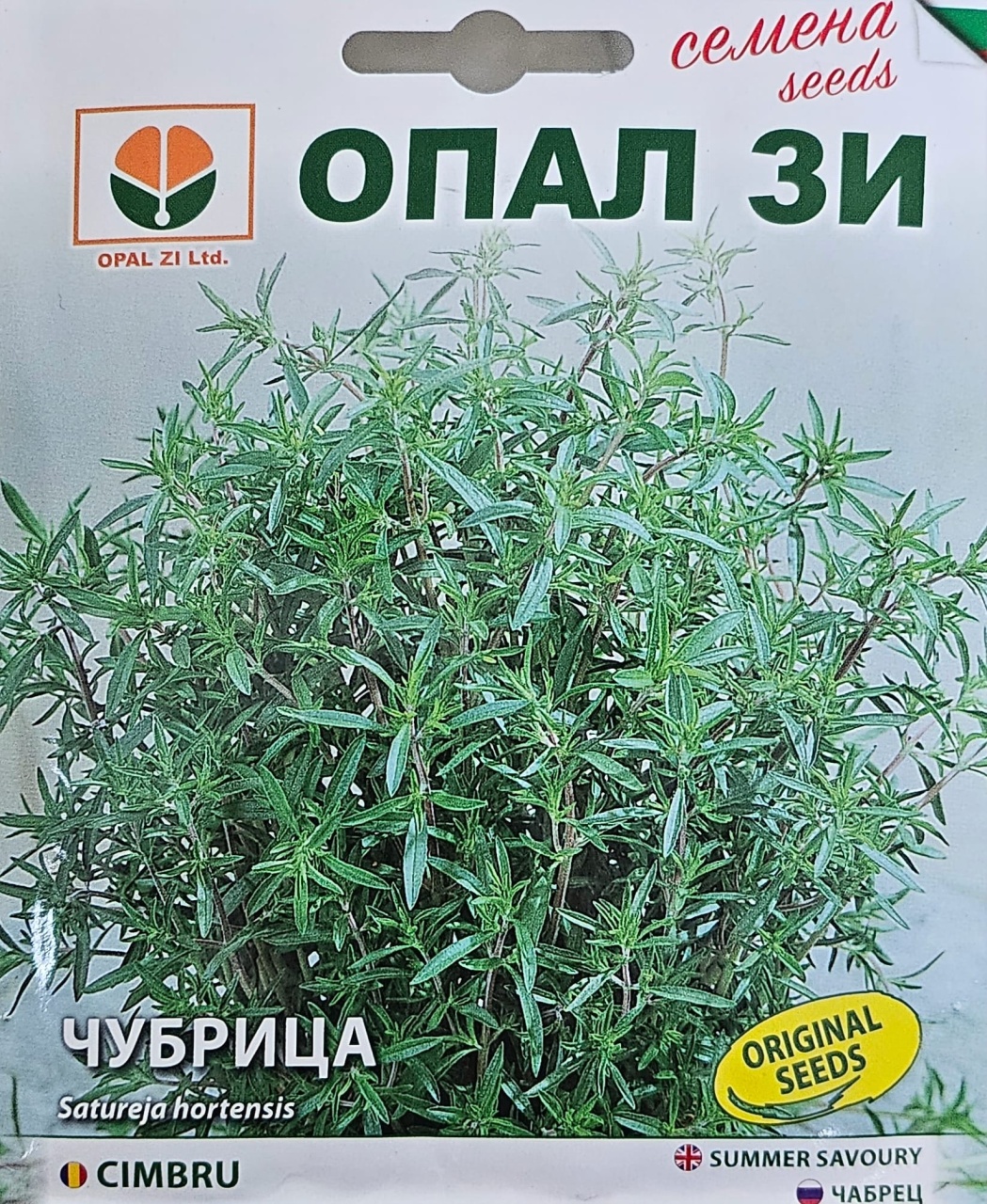 Seminte de Cimbru – Soi Usor de Cultivat – 1g la pretul corect | regal ...