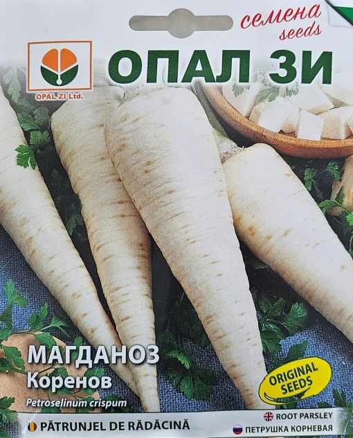 Seminte de PATRUNJEL DE RADACINA, radacina aproximativ 15 cm - 5gr la ...