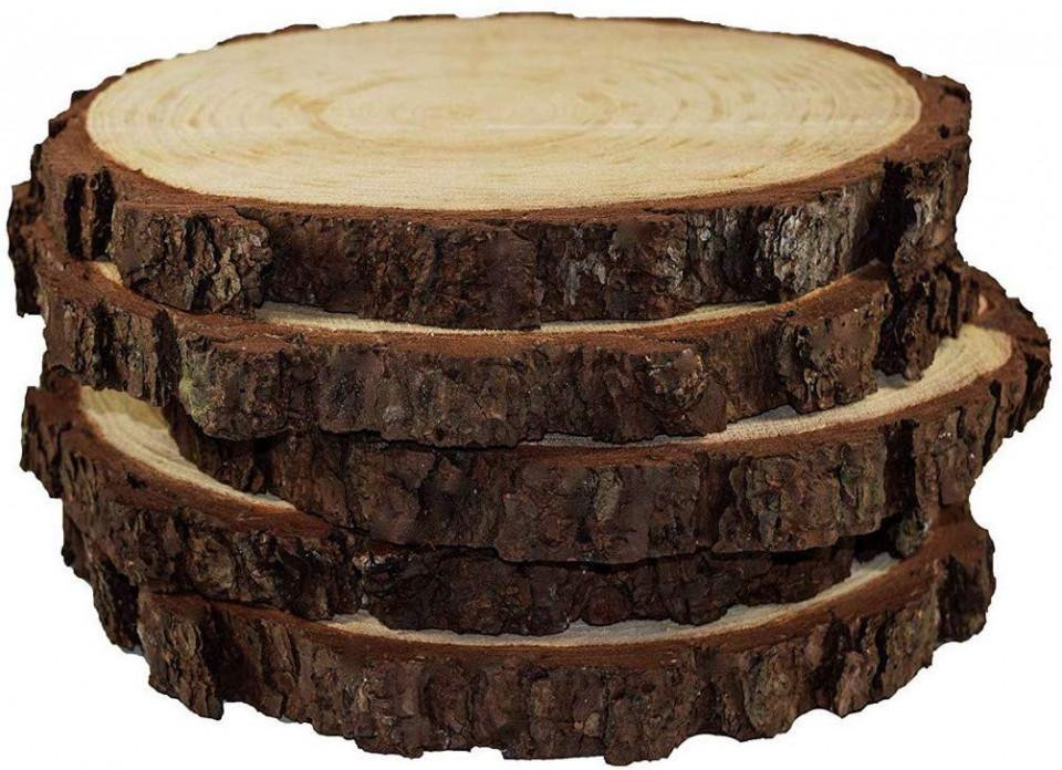 Felii bustean 14-16 cm