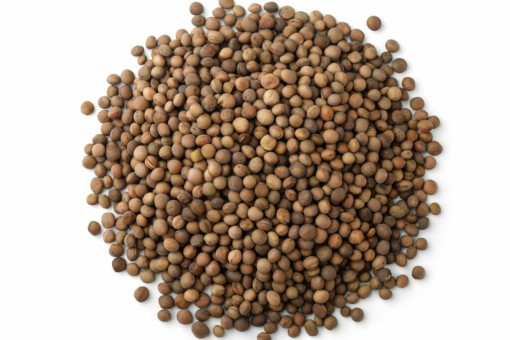 Mazariche de primavara (vicia sativa) - 1 kg