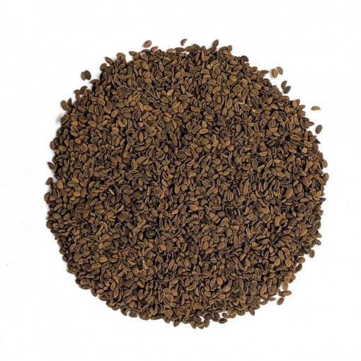 Seminte de facelia (Phacelia tanacetifolia) - 1 kg