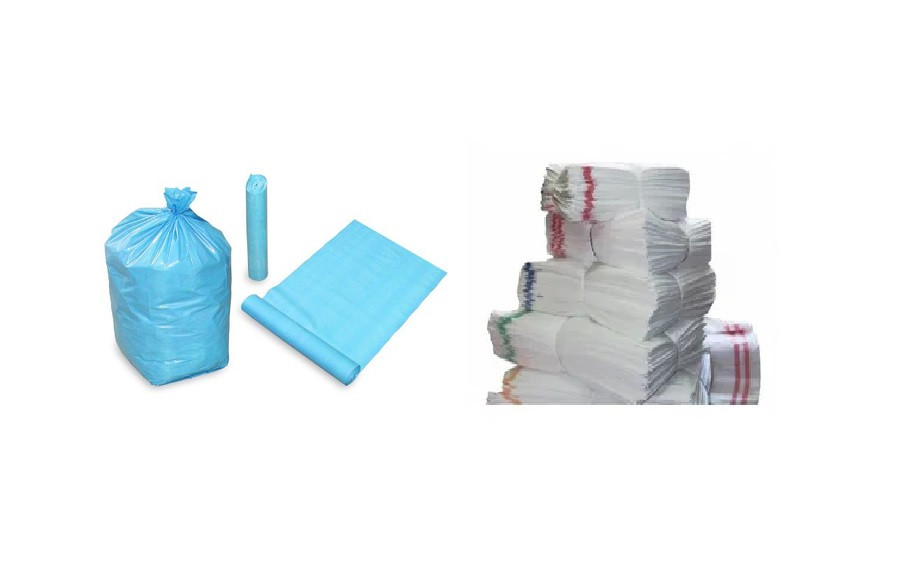 saci rafie conceptmag