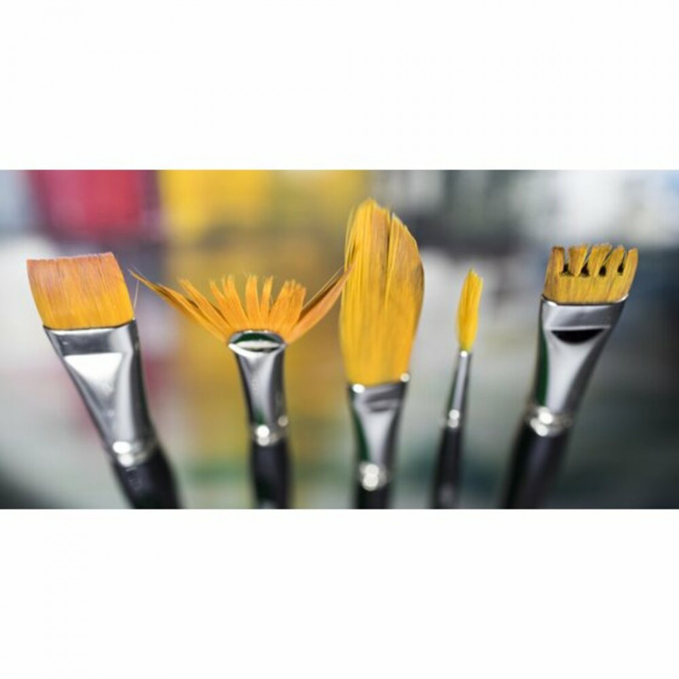 Pensula DERWENT Professional, pentru pictat, 6 buc/ set, diverse modele ...