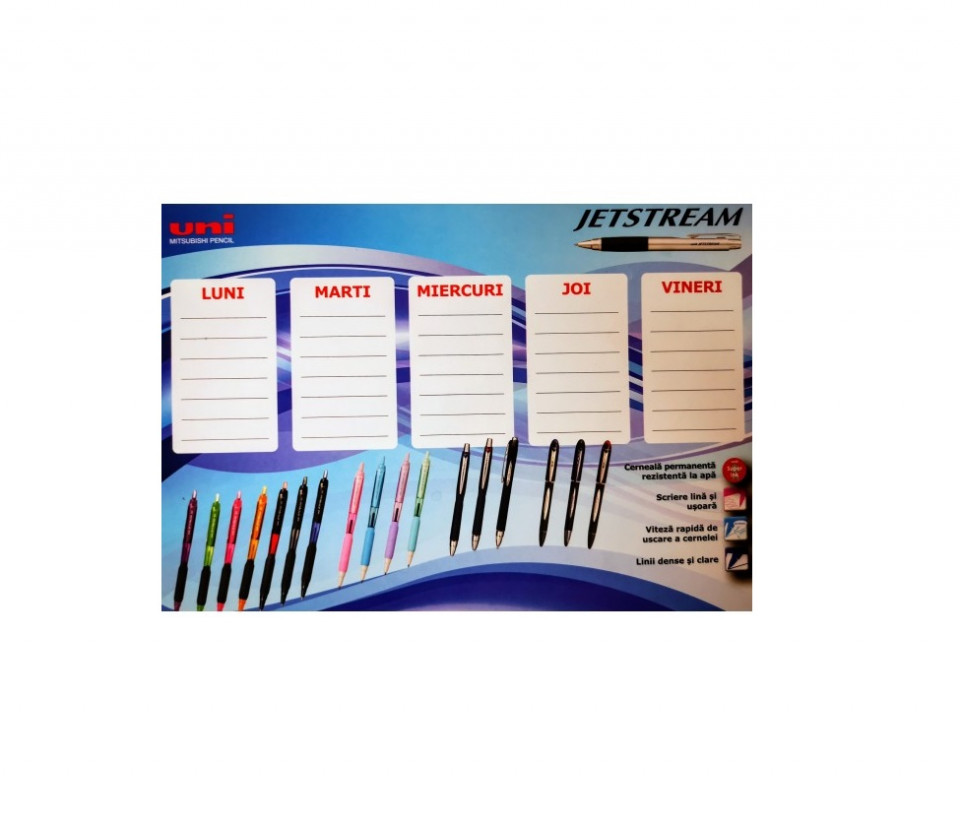 Orar Scolar format A5, Diverse modele imprimate