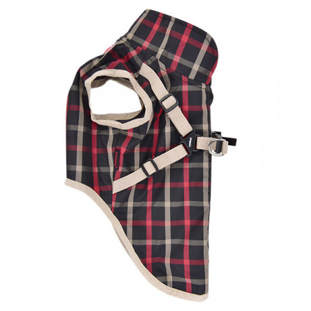 Haina caini Puppia Baxter (de ploaie)