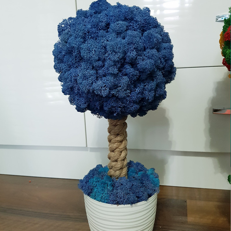 Copacel din licheni stabilizati Midnights, 45 cm inaltime, 55 cm ...