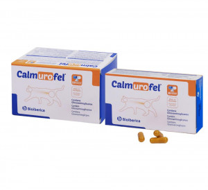 Calmurofel Pisica, capsule